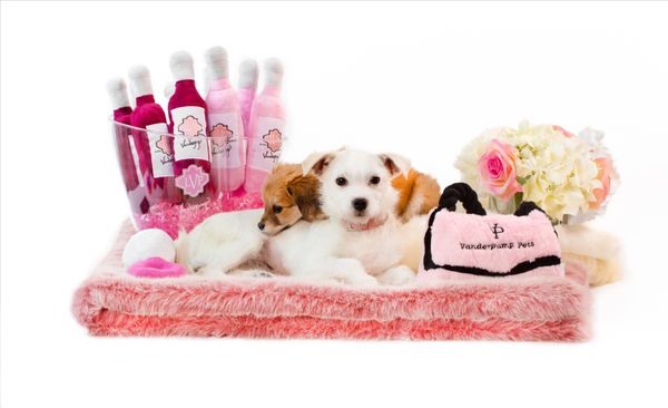 VANDERPUMP PETS - Updated August 2025 - 8134 West 3rd St, Los Angeles ...