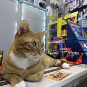 PREMO CANNABIS - Updated May 2025 - 2 E Front St, Keyport, New Jersey ...