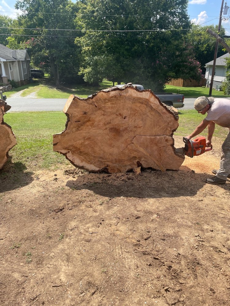 DEADWOOD TREE & LAND MANAGEMENT - 10 Photos - Greensboro, North ...