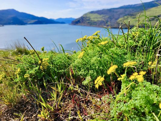 MOSIER CREEK FALLS - Updated August 2025 - 34 Photos - 207 3rd Ave ...