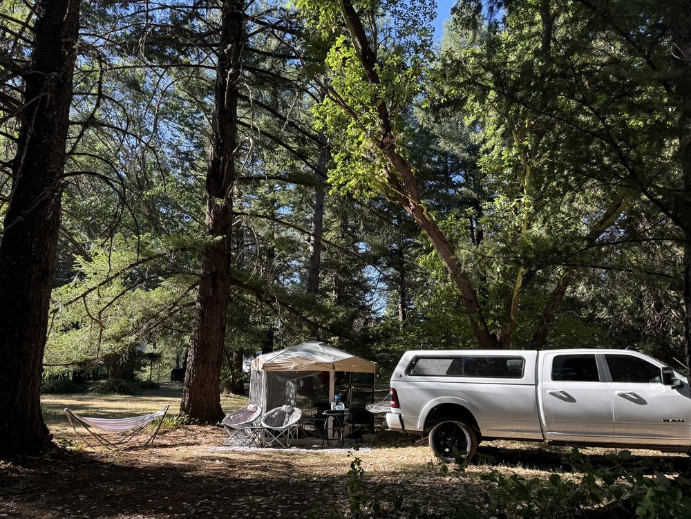 CEDAR BLOOM FARM - Updated January 2026 - 29 Photos - 160 Ollis Rd ...