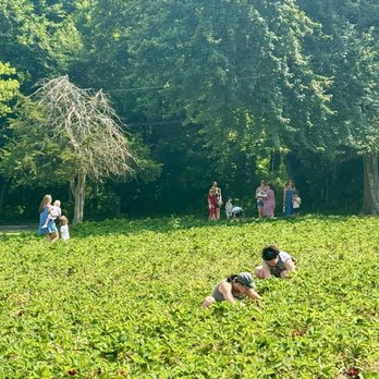 CAVANNA’S FARM - Updated October 2025 - 44 Photos & 18 Reviews - 80 ...