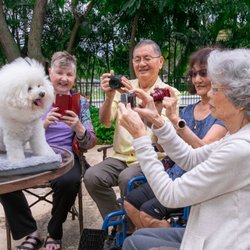 15 CRAIGSIDE - 46 Photos - 15 Craigside Pl, Honolulu, Hawaii ...