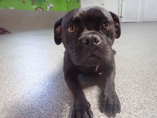 WAGVILLE - Updated September 2024 - 167 Photos & 299 Reviews - 2400 N ...