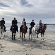 INLET POINT PLANTATION - 19 Photos & 25 Reviews - Horseback Riding ...