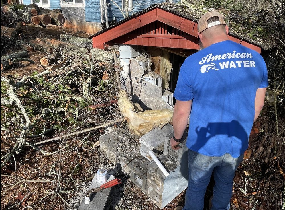 AMERICAN WATER SPECIALTIES | FREEMAN ELECTRICAL & PUMP SERVICES ...