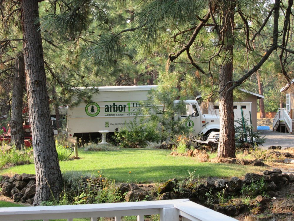 ARBOR 1 TREE SERVICE - Updated May 2026 - 10 Photos & 23 Reviews - PO ...