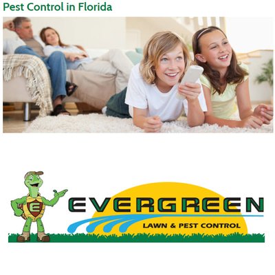 EVERGREEN LAWN & PEST CONTROL - Updated March 2026 - 45 Photos & 40 ...