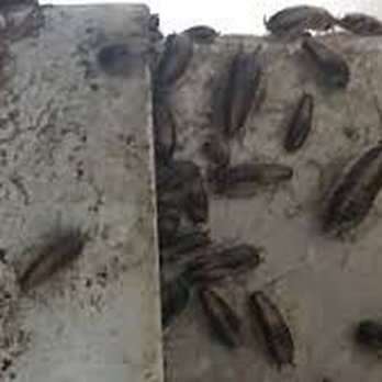 MARINA LANDING - Updated September 2025 - 23 Photos - 6315 Westgate Dr ...