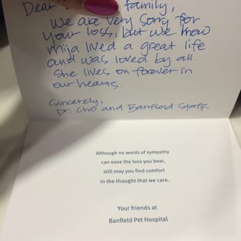 BANFIELD PET HOSPITAL - Updated September 2024 - 37 Photos & 81 Reviews ...