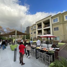 ANWAR’S KITCHEN - Updated January 2026 - 516 Photos & 459 Reviews - 217 ...