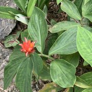 JESSE DURKO’S NURSERY - 96 Photos & 34 Reviews - 5151 SW 70th Ave ...