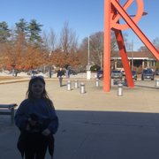 CURRIER MUSEUM OF ART - WINTER GARDEN CAFE - 277 Photos & 54 Reviews ...