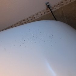 TRUE REST FLOAT SPA - 81 Photos & 170 Reviews - Float Spa - 1860 E ...