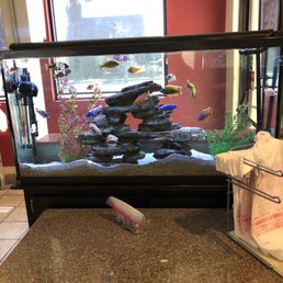 BLUE FIN SUSHI & GRILL - Updated September 2025 - 122 Photos & 206 ...