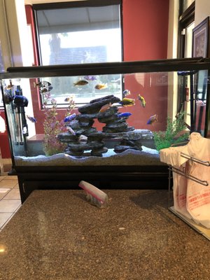 BLUE FIN SUSHI & GRILL - Updated September 2024 - 122 Photos & 198 ...