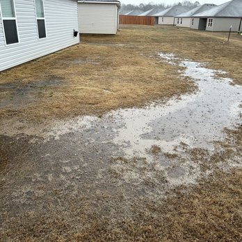 RAUSCH COLEMAN HOMES - Updated January 2025 - 74 Photos & 32 Reviews ...