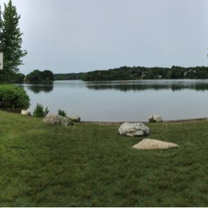 SPY POND - 49 Photos & 18 Reviews - Parks - Pond Ln, Arlington, MA - Yelp