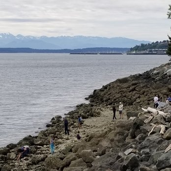 POCKET BEACH - Updated September 2025 - 21 Photos - 3131 Elliott Ave ...