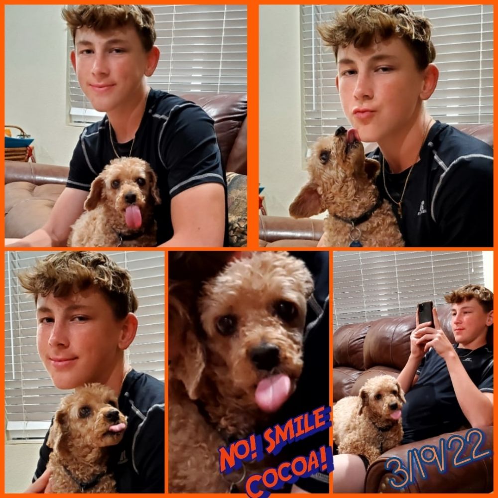 JOSHUA TREE PET RESORT - Updated April 2025 - 363 Photos & 115 Reviews ...