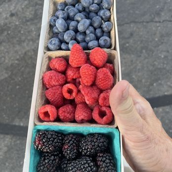 PEDRICK PRODUCE - Updated December 2025 - 1347 Photos & 634 Reviews ...