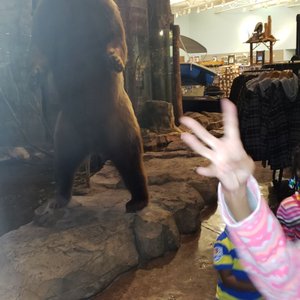 BASS PRO SHOPS - 180 Photos & 81 Reviews - 1000 Bass Pro Dr, Houston ...