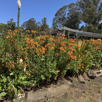 CRYSTAL BAY FARM - Updated December 2025 - 163 Photos & 78 Reviews - 40 ...