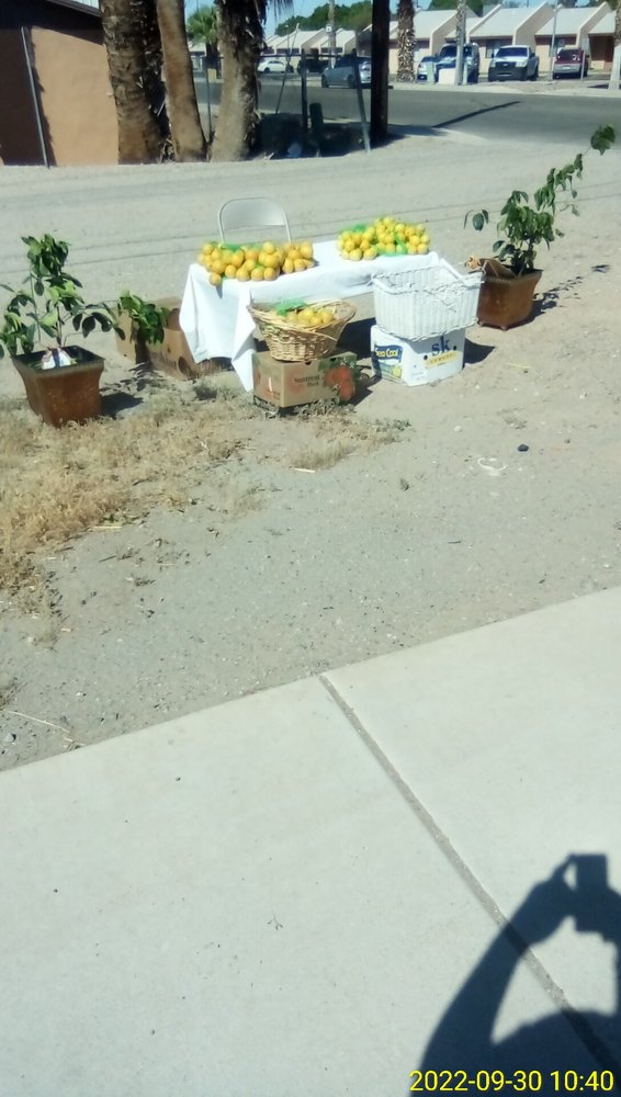 CHRIS T’S FRUIT STAND - Yuma, Arizona - Street Vendors - Phone Number ...