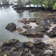 HILO REEDS BAY HOTEL - 51 Photos & 58 Reviews - 175 Banyan Dr, Hilo, HI ...