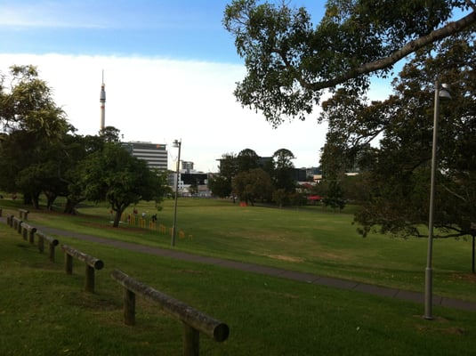 MUSGRAVE PARK - Updated August 2025 - Cordelia St, South Brisbane ...