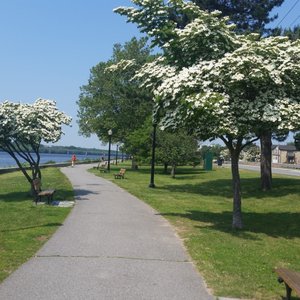 FREEMAN LAKE, VARNEY PLAGROUND - Beach - Adams St, North Chelmsford ...