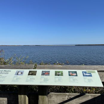 TRUSTOM POND WILDLIFE REFUGE - Updated July 2025 - 162 Photos & 17 ...