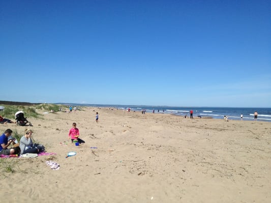 TENTSMUIR SANDS & FOREST - Updated August 2024 - Leuchars, Fife, United ...