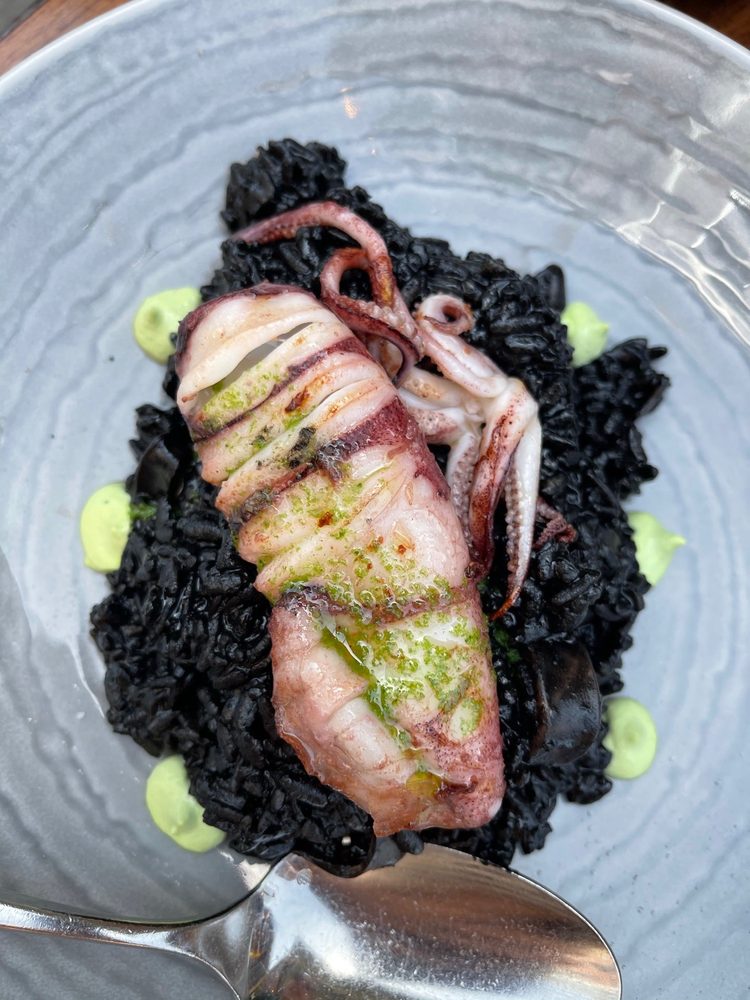 TOMIÑO TABERNA GALLEGA - New York, New York - 1015 Photos & 359 Reviews ...