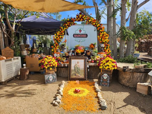 SANCHEZ PRODUCE - Updated January 2026 - 65 Photos & 23 Reviews - 16230 ...