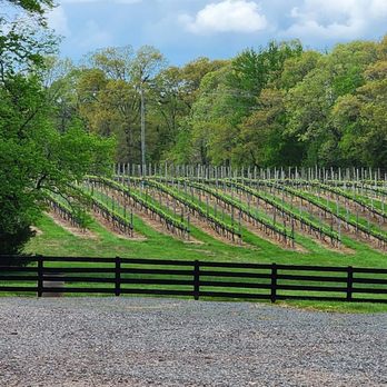 INGLESIDE VINEYARDS - Updated December 2025 - 141 Photos & 71 Reviews ...