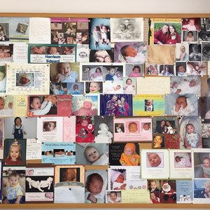 ARTHUR YIN FAN, CMD PHD LAC - Updated May 2025 - 8214 Old Courthouse Rd ...