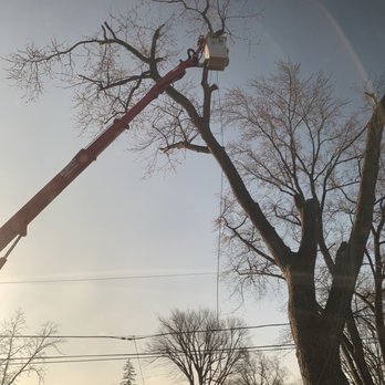 RED OAK TREE SERVICE - Updated December 2025 - 27 Photos & 22 Reviews ...