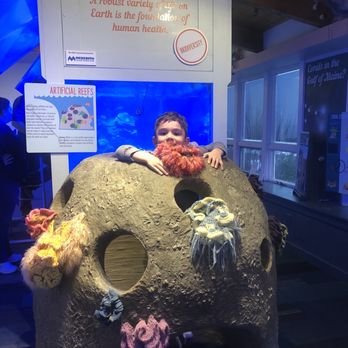 SEACOAST SCIENCE CENTER - Updated May 2025 - 63 Photos & 55 Reviews ...
