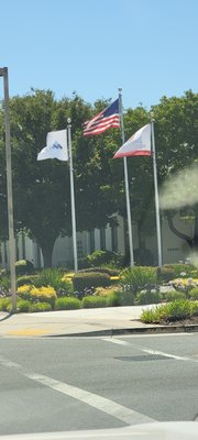 MCCLELLAN BUSINESS PARK - Updated June 2025 - 12 Photos - 3140 ...