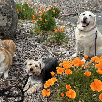 SHADOW CLIFFS REGIONAL RECREATION AREA - Updated November 2025 - 259 ...