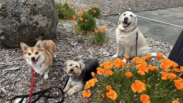 SHADOW CLIFFS REGIONAL RECREATION AREA - Updated August 2024 - 207 ...