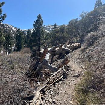 HUNTER CREEK WATERFALL TRAIL - Updated December 2025 - 388 Photos & 71 ...