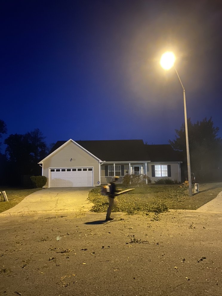 PARAMOUNT TREE COMPANY - Updated November 2024 - 21 Photos ...