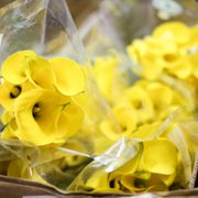 HUNTS POINT FLOWER MARKET - 36 Photos & 24 Reviews - Florists - 1152 ...
