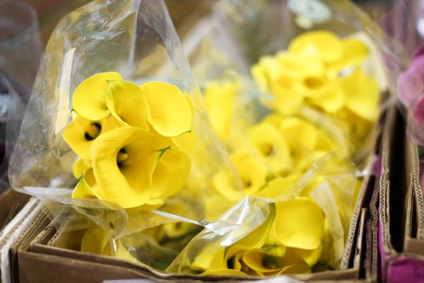 HUNTS POINT FLOWER MARKET - 36 Photos & 24 Reviews - 1152 Randall Ave ...