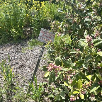 ZINC HOUSE FARM - Updated December 2025 - 36 Photos & 26 Reviews ...