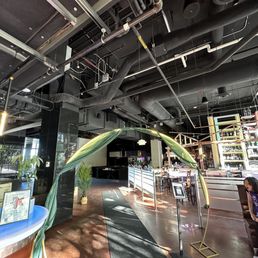 WILD WASABI SIGNATURE - Updated October 2025 - 116 Photos & 59 Reviews ...