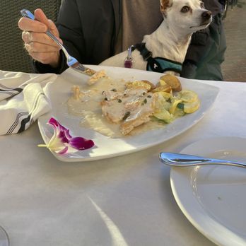 FETTUCCINE MARCELLO ITALIAN KITCHEN - Updated April 2024 - 71 Photos ...