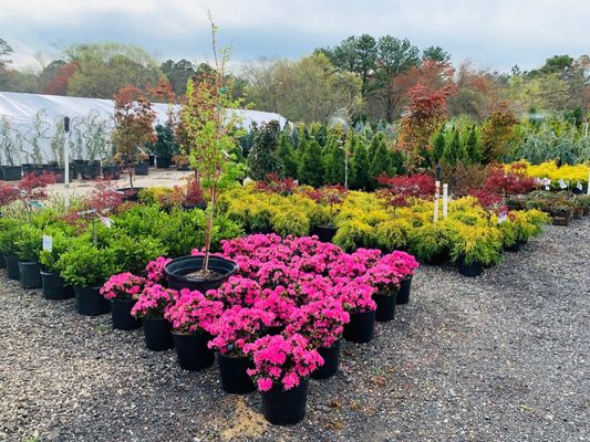 JMJ FARMS - Updated January 2026 - 2900 Lakewood Allenwood Rd, Howell ...